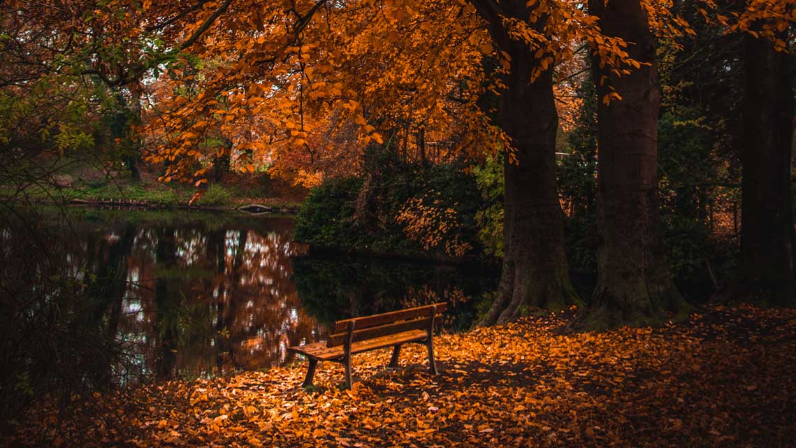 Les plus beaux parcs et jardins de la métropole de Lille - Lille Addict
