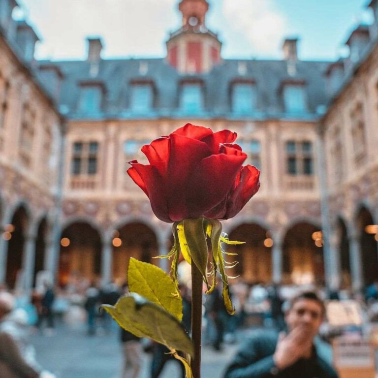 Lille Addict | Bons plans, actualités et sorties à Lille